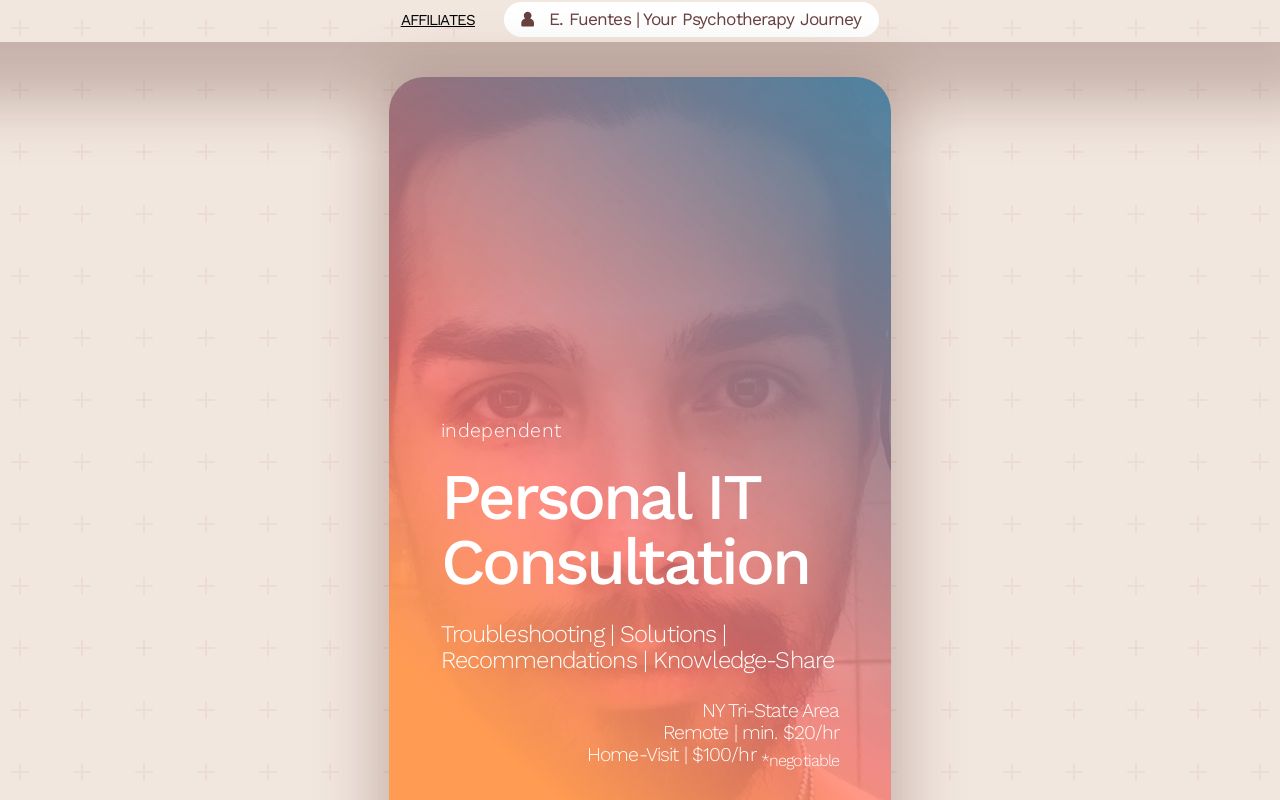 Personal IT Consultation